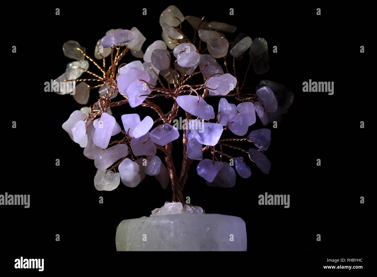Luck tree on black background Stock Photo - Alamy
