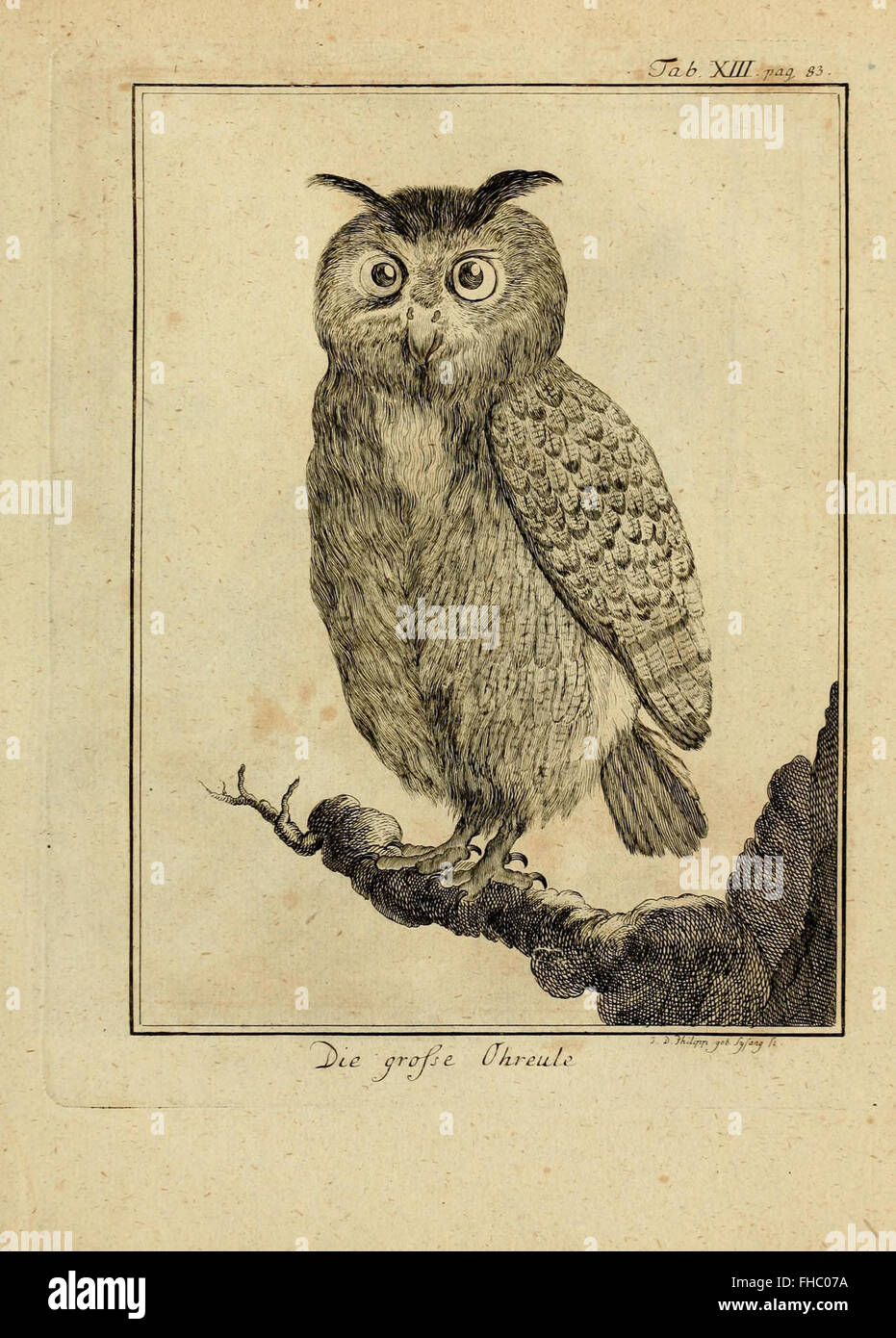 A German natural history work on birds, with pictorial illustrations ...