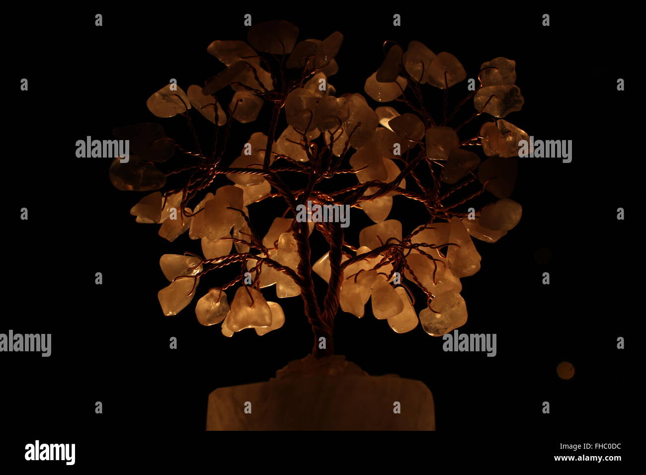 Gem Tree in a soft light Stock Photo - Alamy