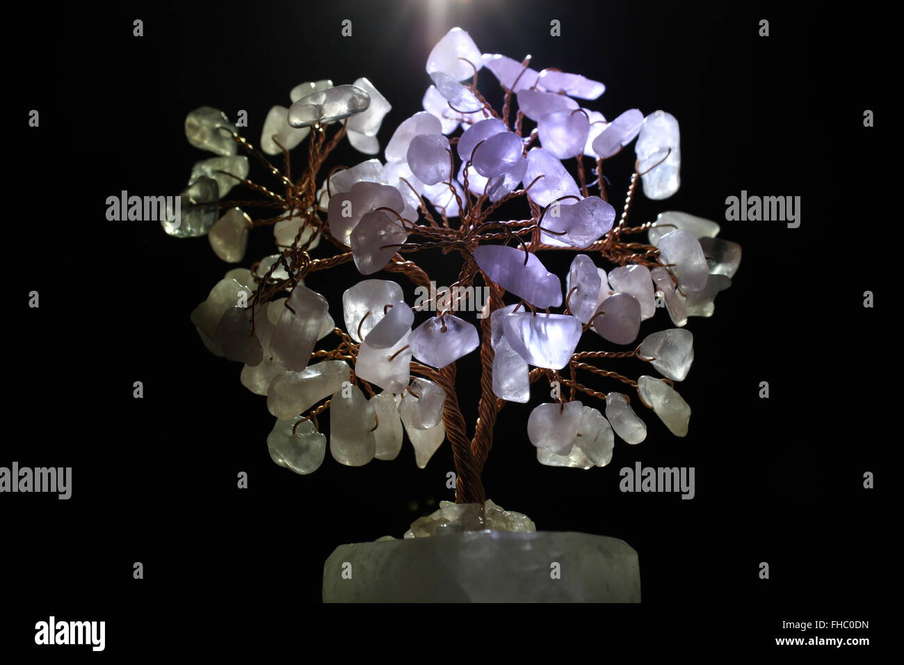 Lucky tree under light Stock Photo - Alamy