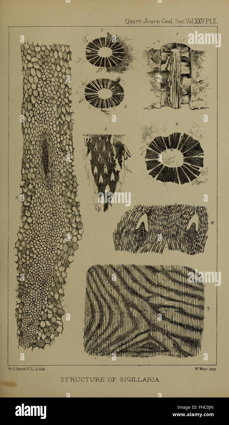The Quarterly Journal of the Geological Society of London, a geological periodical published by ...