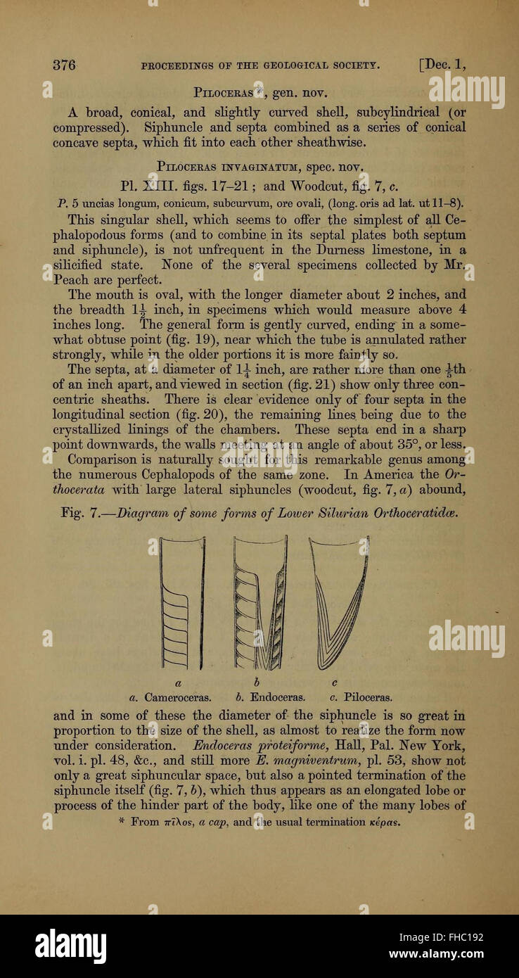 Periodicals Smithsonian Libraries geology Stock Photo - Alamy