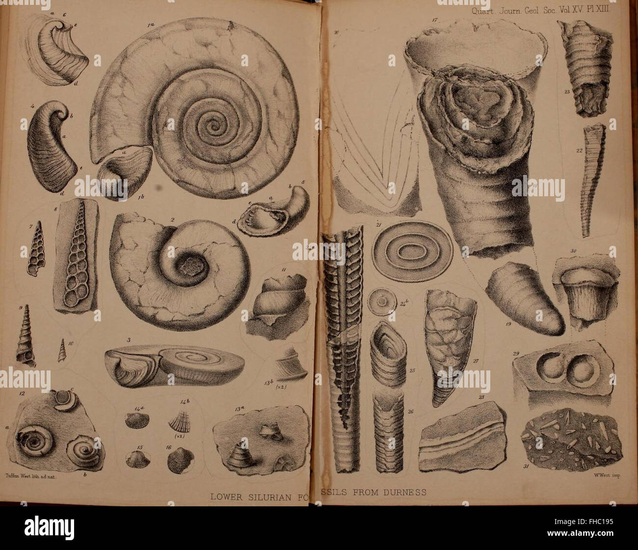 Quarterly Journal of the Geological Society of London, Geology ...