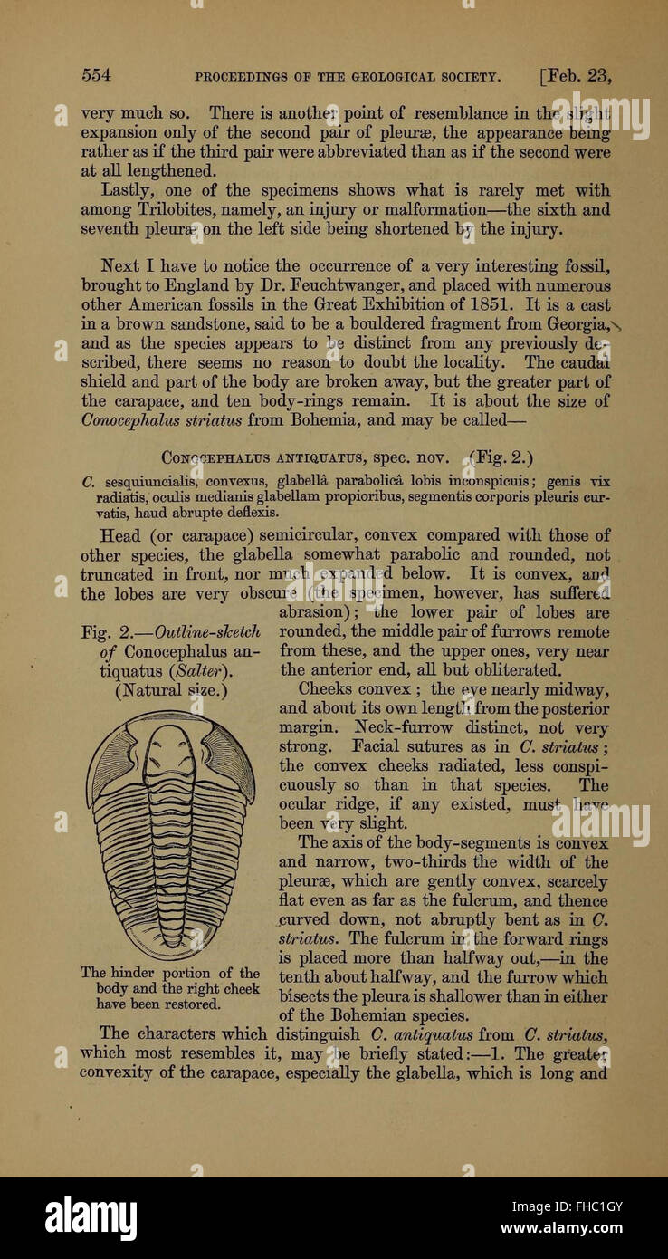 The Quarterly journal of the Geological Society of London - Periodicals ...
