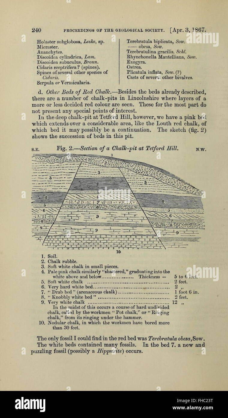 A scientific journal that presents research and papers in the field of ...