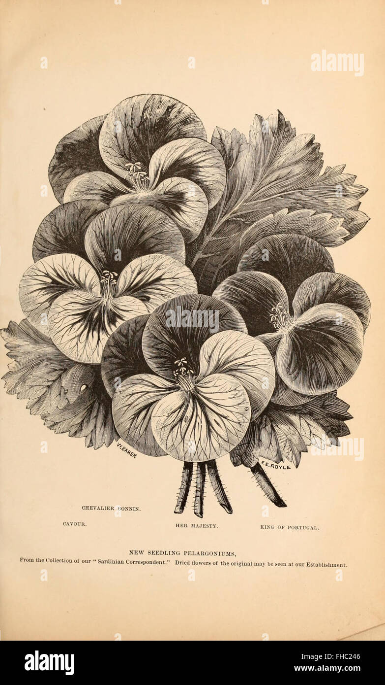 Gardening catalogue catalogues hi-res stock photography and images - Alamy