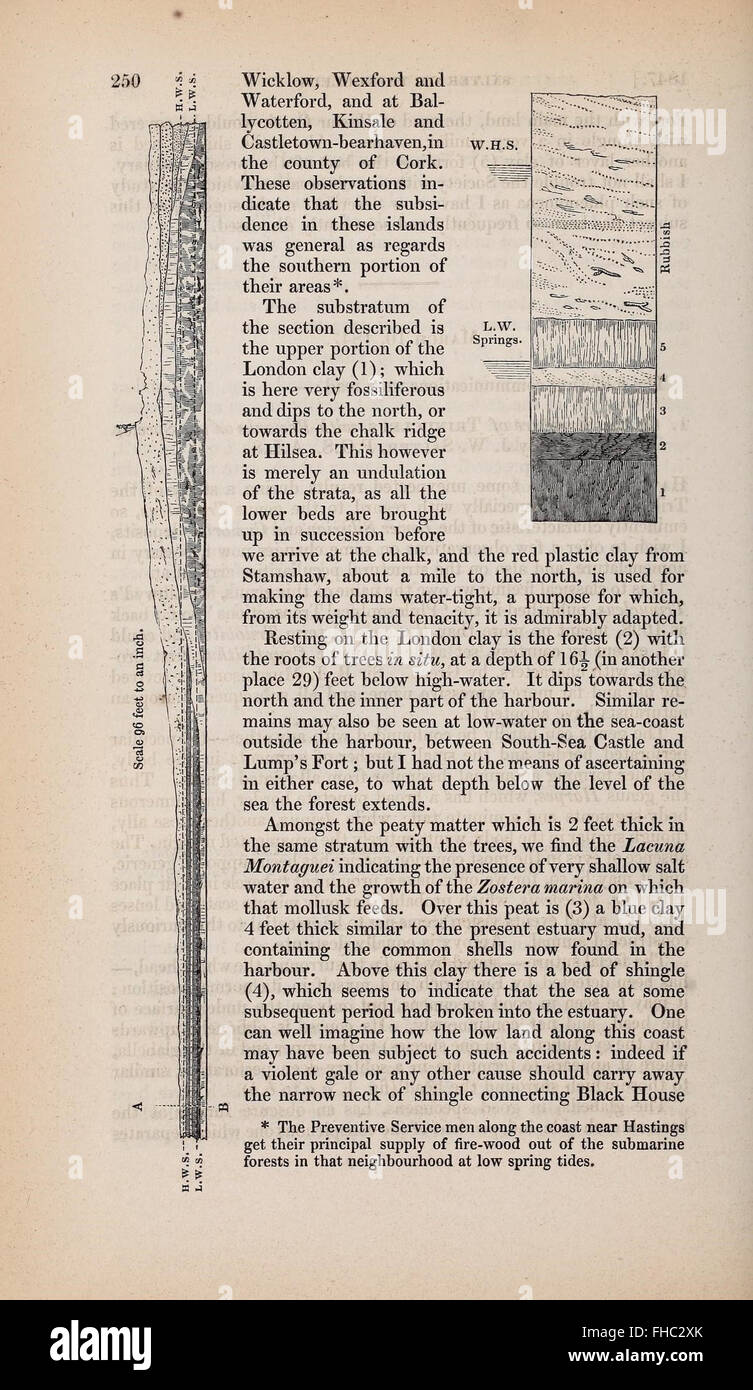 Periodicals Smithsonian Libraries geology Stock Photo - Alamy