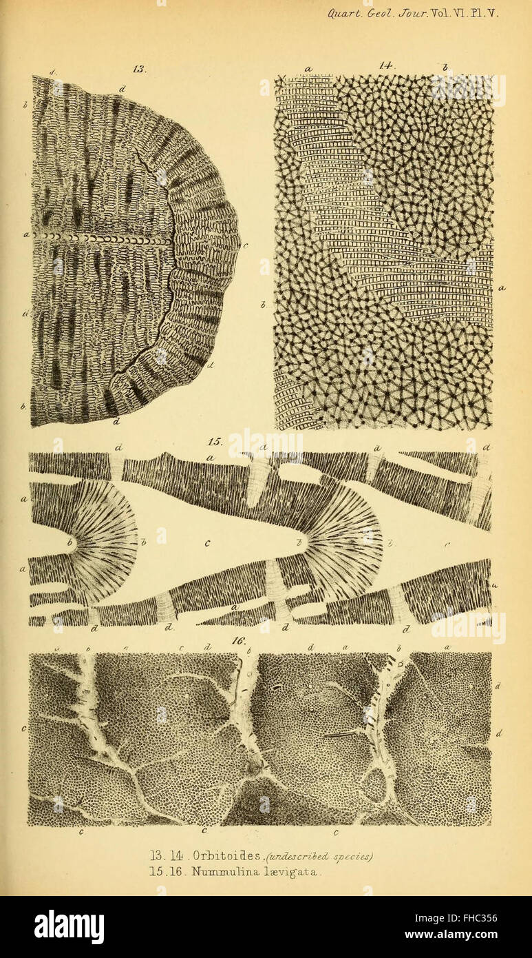 The Quarterly Journal of the Geological Society of London, Periodicals ...