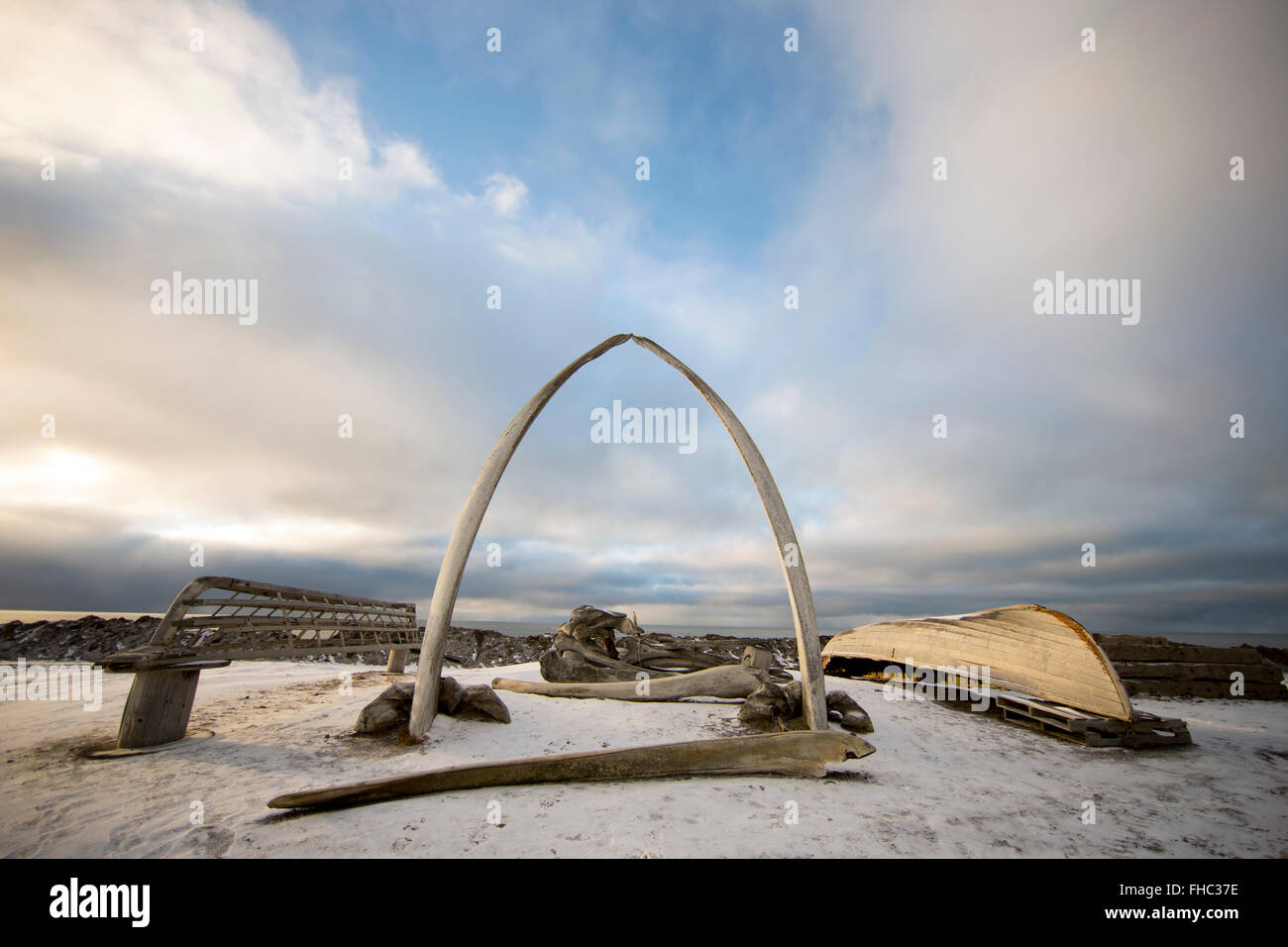 The whale bone hi-res stock photography and images - Alamy