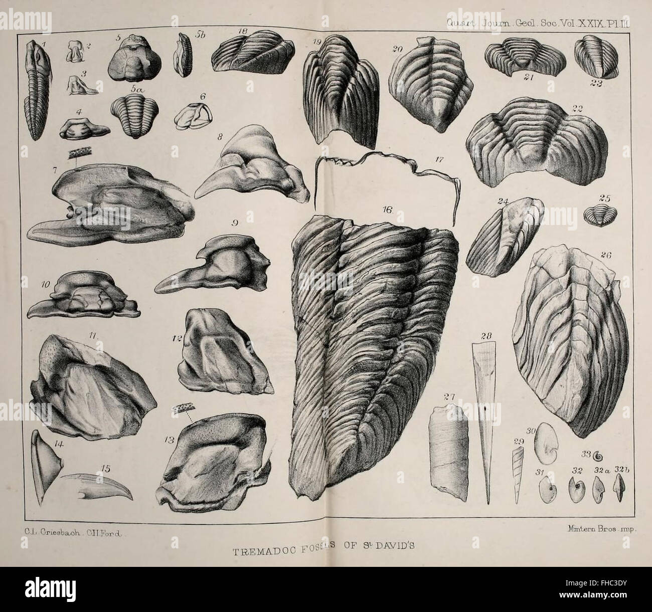 The Quarterly Journal of the Geological Society of London, Periodicals ...