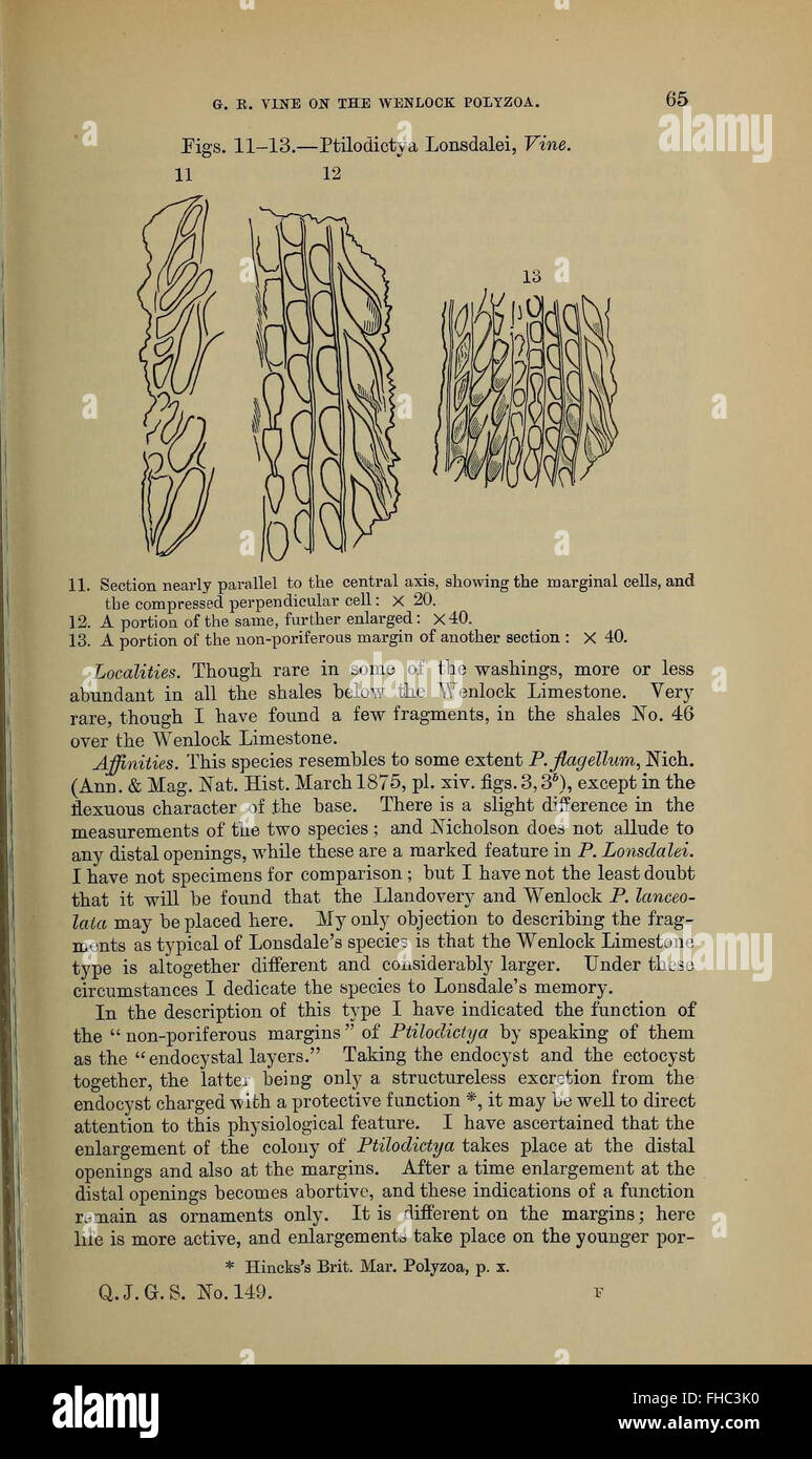 A periodical published by the Geological Society of London, containing ...