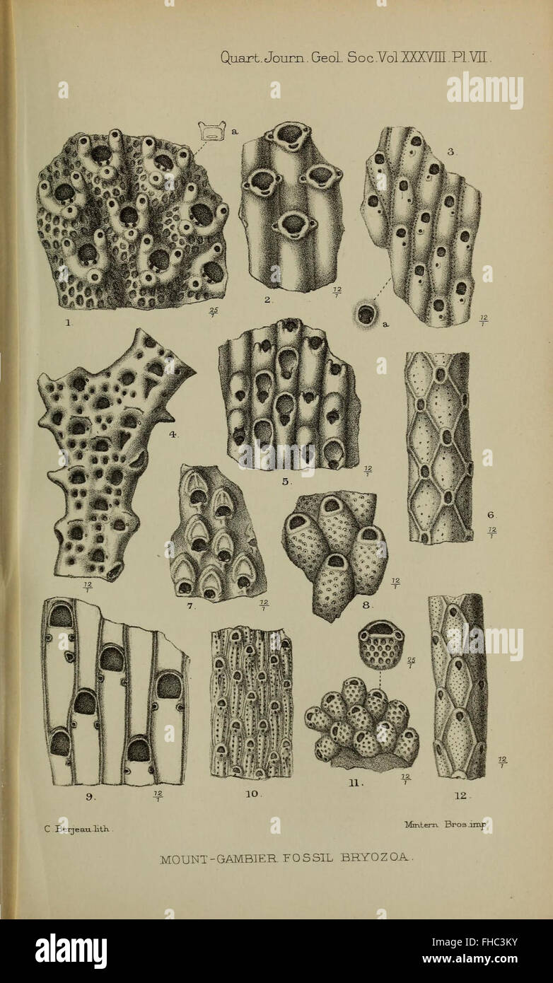 A geological journal documenting studies in earth sciences, geology ...