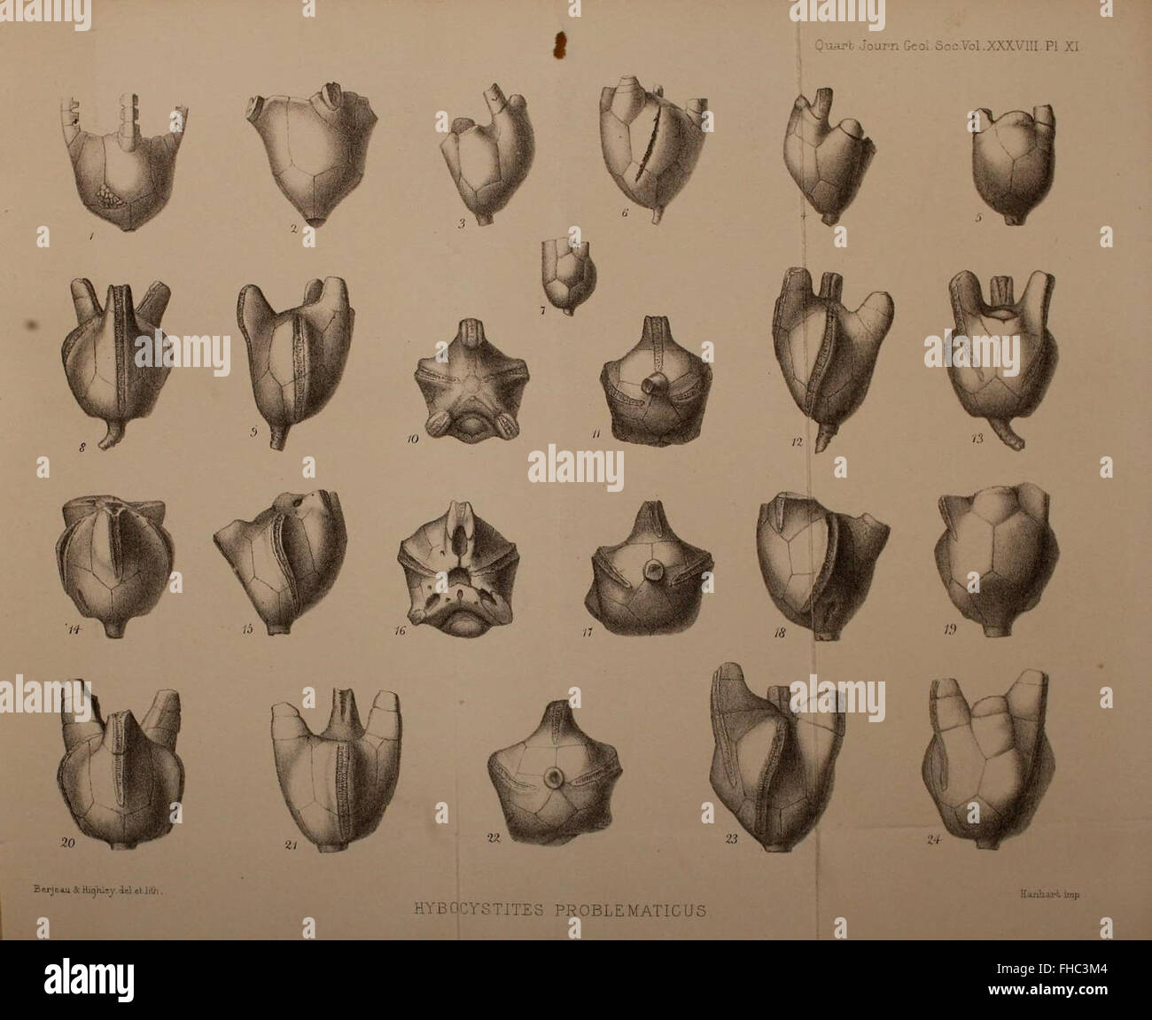 A journal from the Geological Society of London, presenting articles on ...