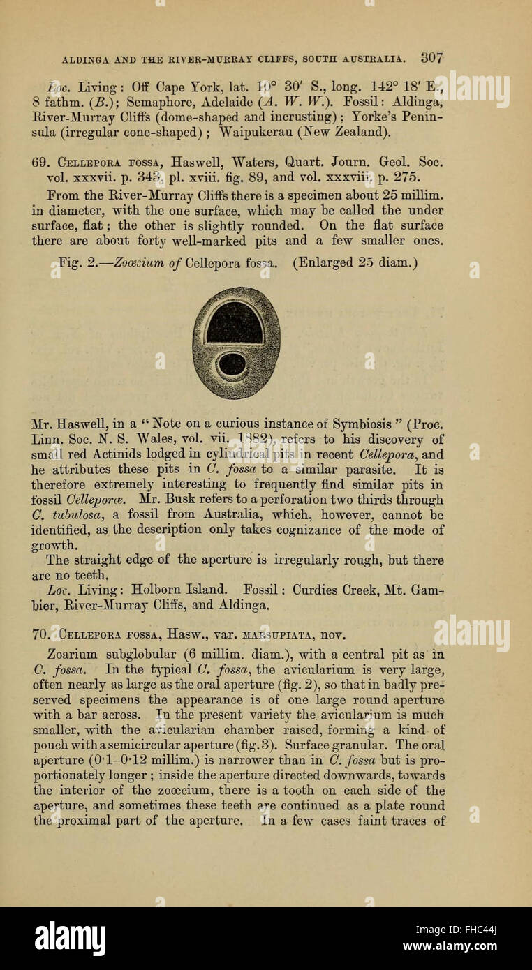 A scientific journal focusing on research in geology, featuring ...