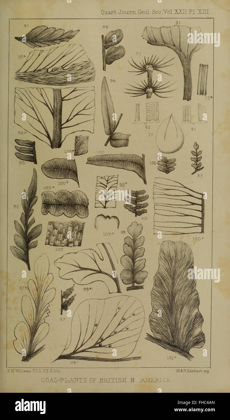 A continuation of the above, featuring comprehensive geological ...