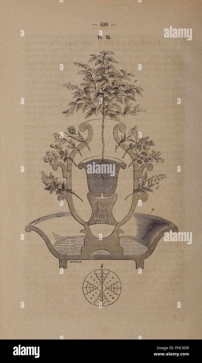 Belgique Horticole, Botany Harvard University Botany Libraries ...