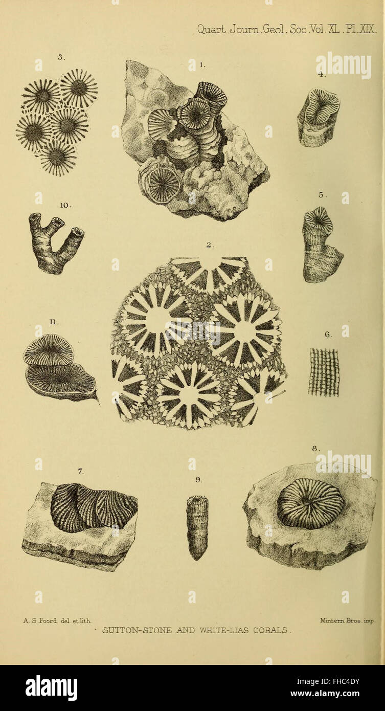 A scholarly journal documenting the latest geological studies, research ...