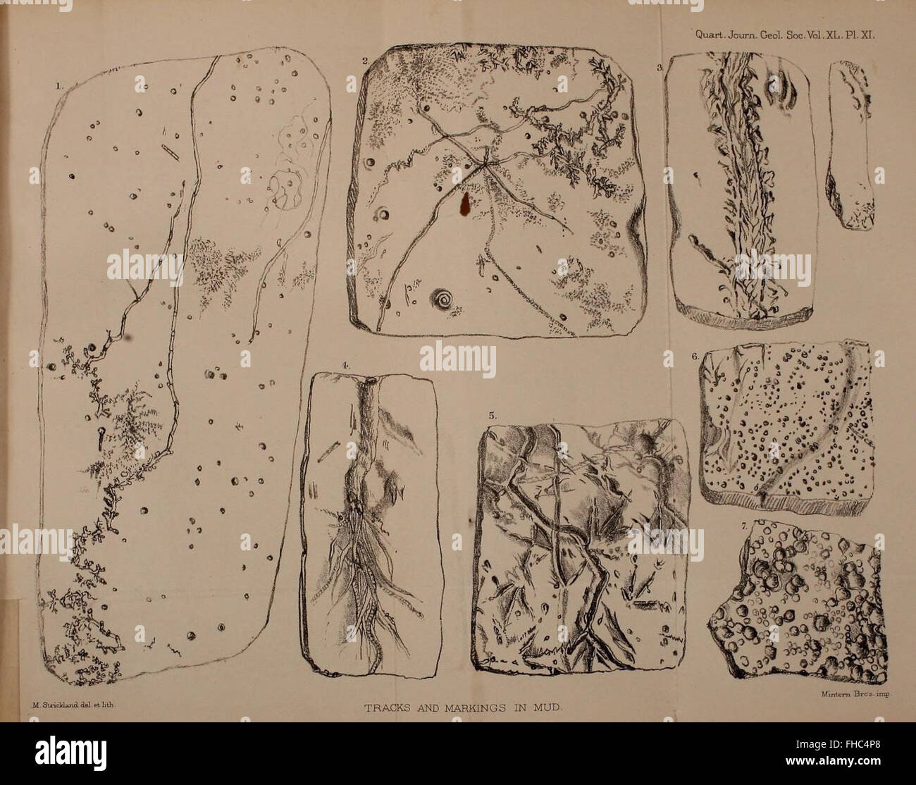 An academic journal from the Geological Society of London, offering ...
