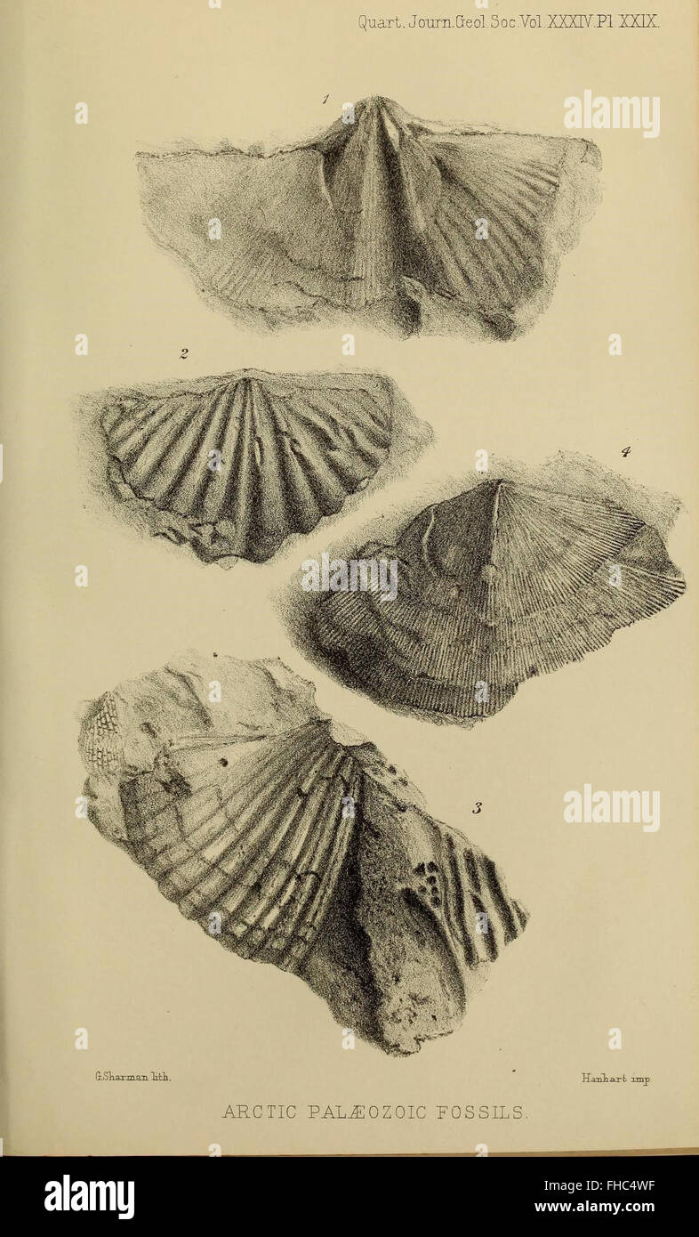 A periodical journal that publishes research in the field of geology ...
