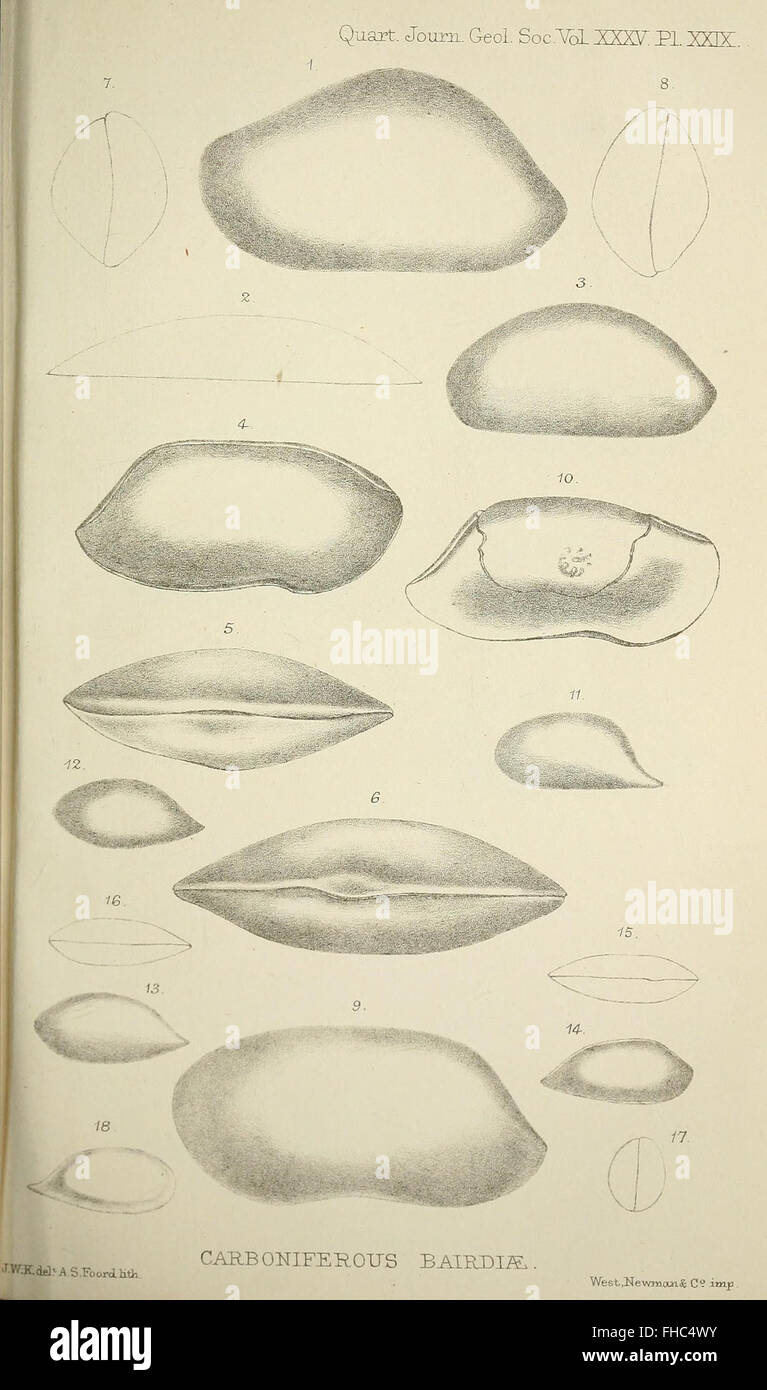 The Quarterly Journal of the Geological Society of London, a periodical ...