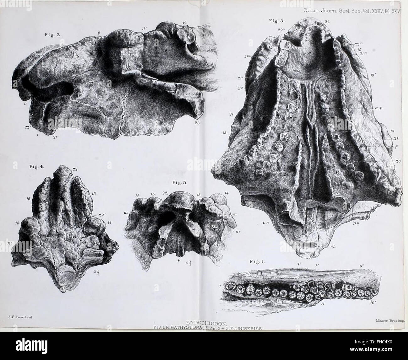 A geological journal published by the Geological Society of London ...