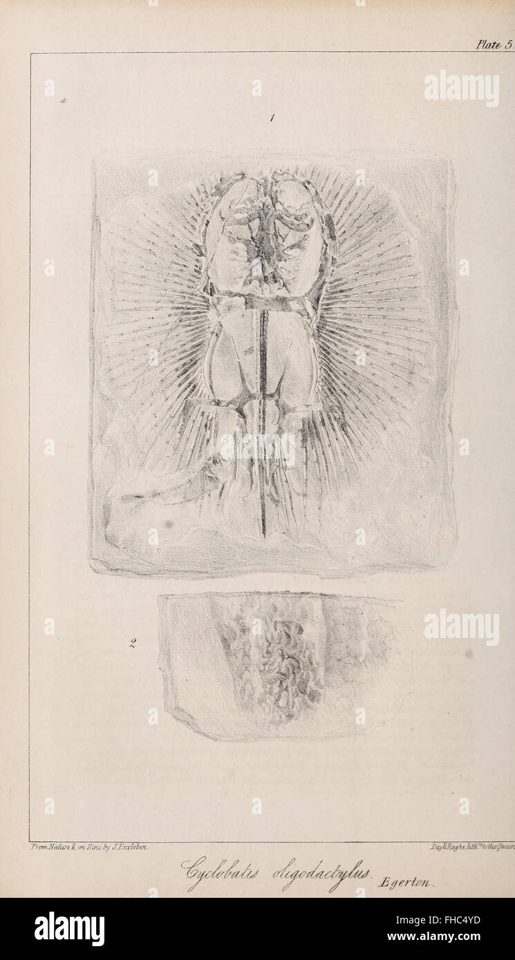 A geological periodical documenting key developments in the field of ...