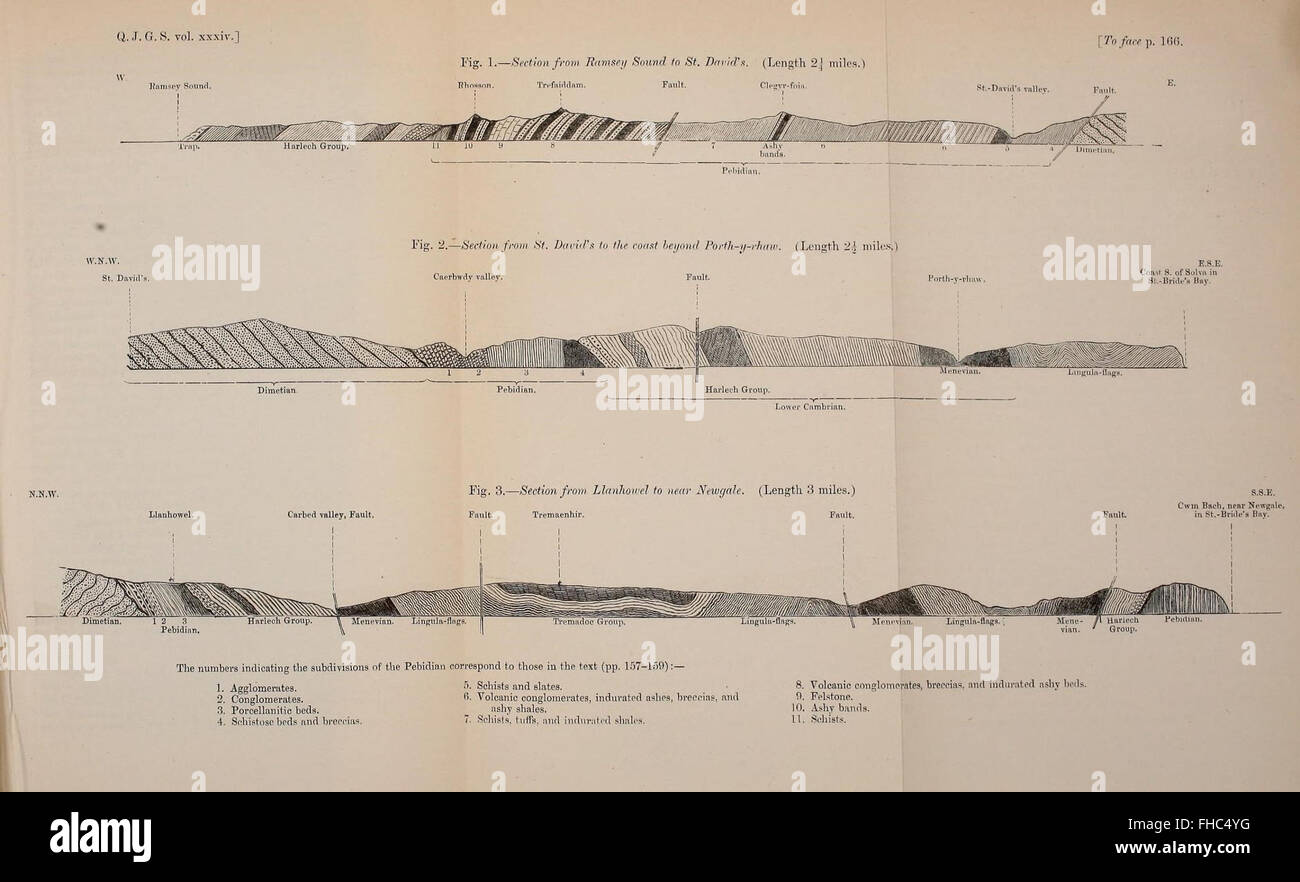 A periodical journal dedicated to the latest research and discoveries ...