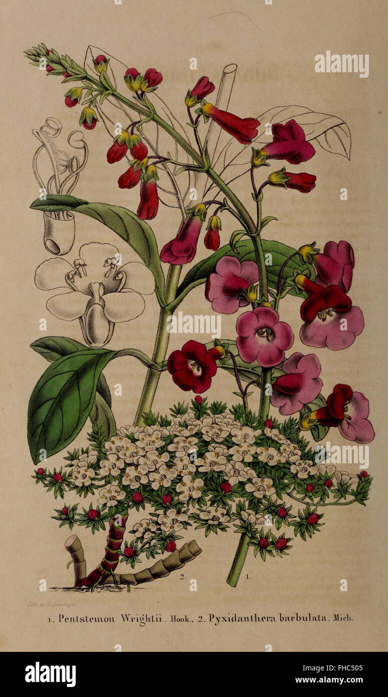 A horticultural periodical focusing on the gardening practices and ...