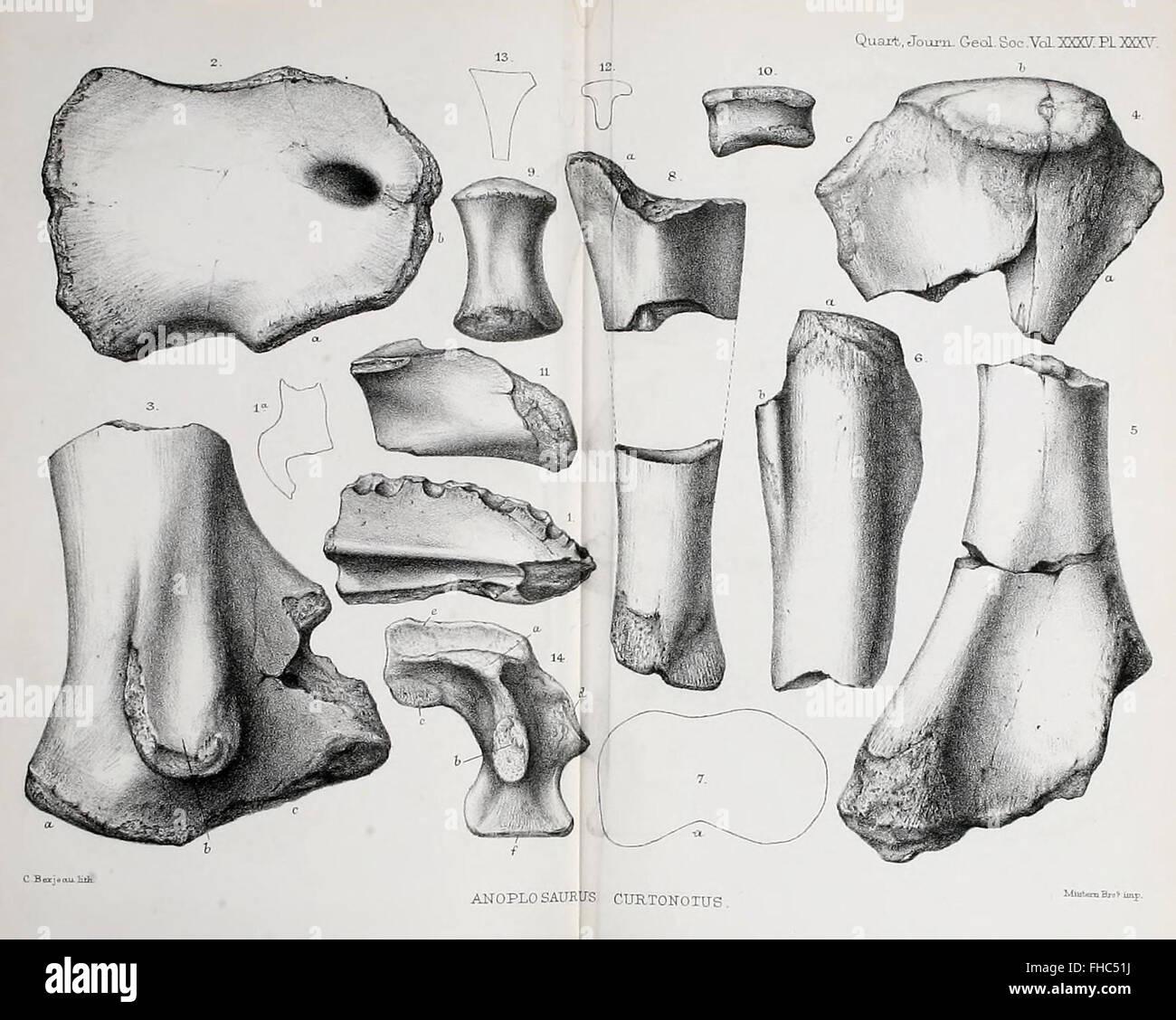 A respected periodical documenting geological studies and discoveries ...