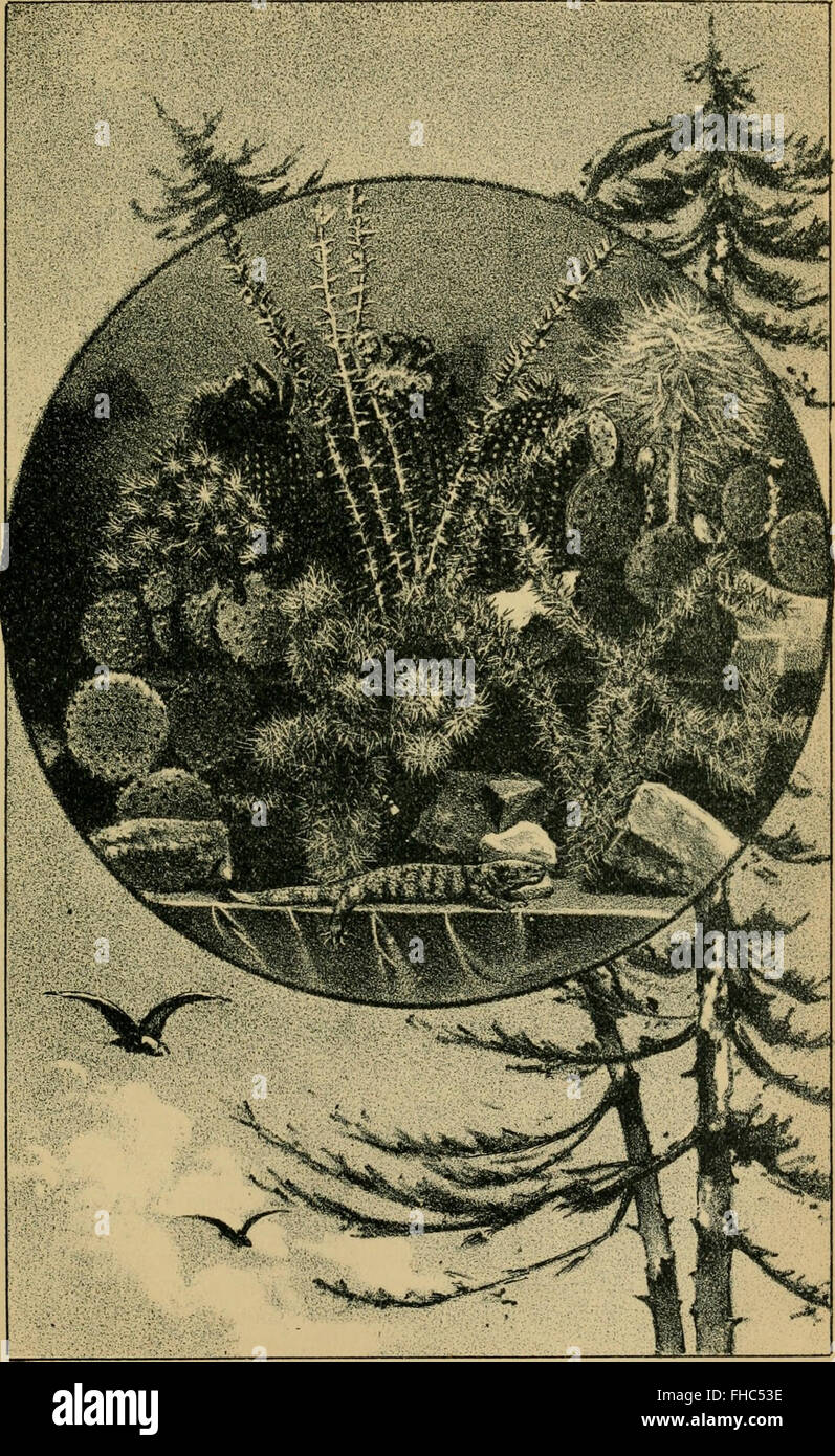 A detailed description of Arizona's natural resources, including its ...