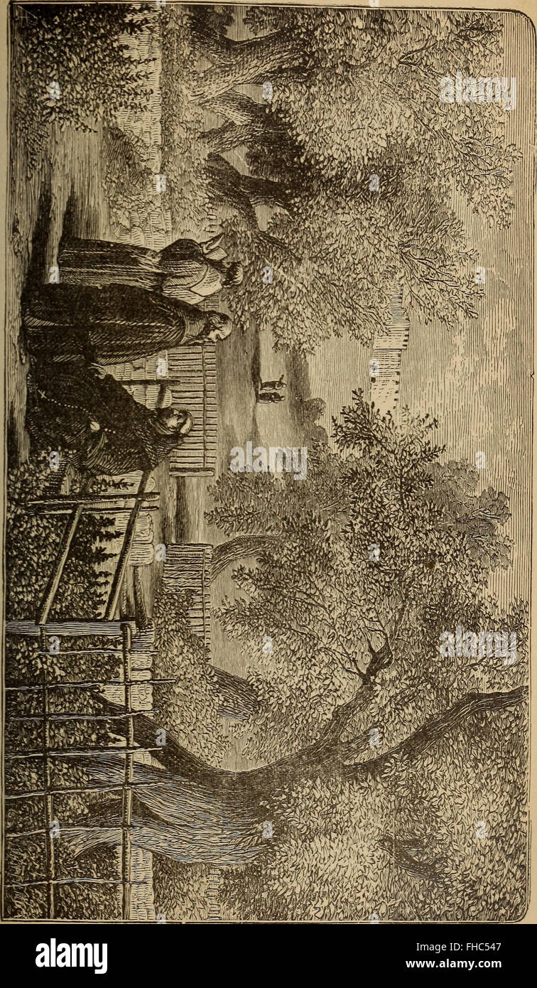 Revised new testament hi-res stock photography and images - Alamy