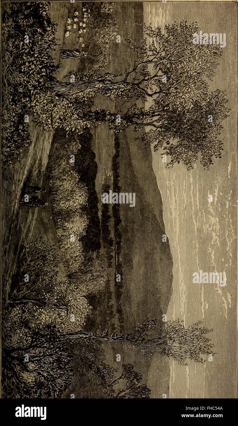 Revised version hi-res stock photography and images - Alamy