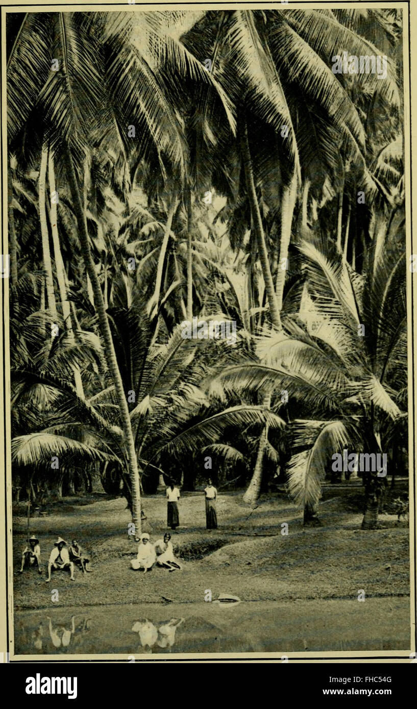 A book offering captivating descriptions of unique and unusual plants ...