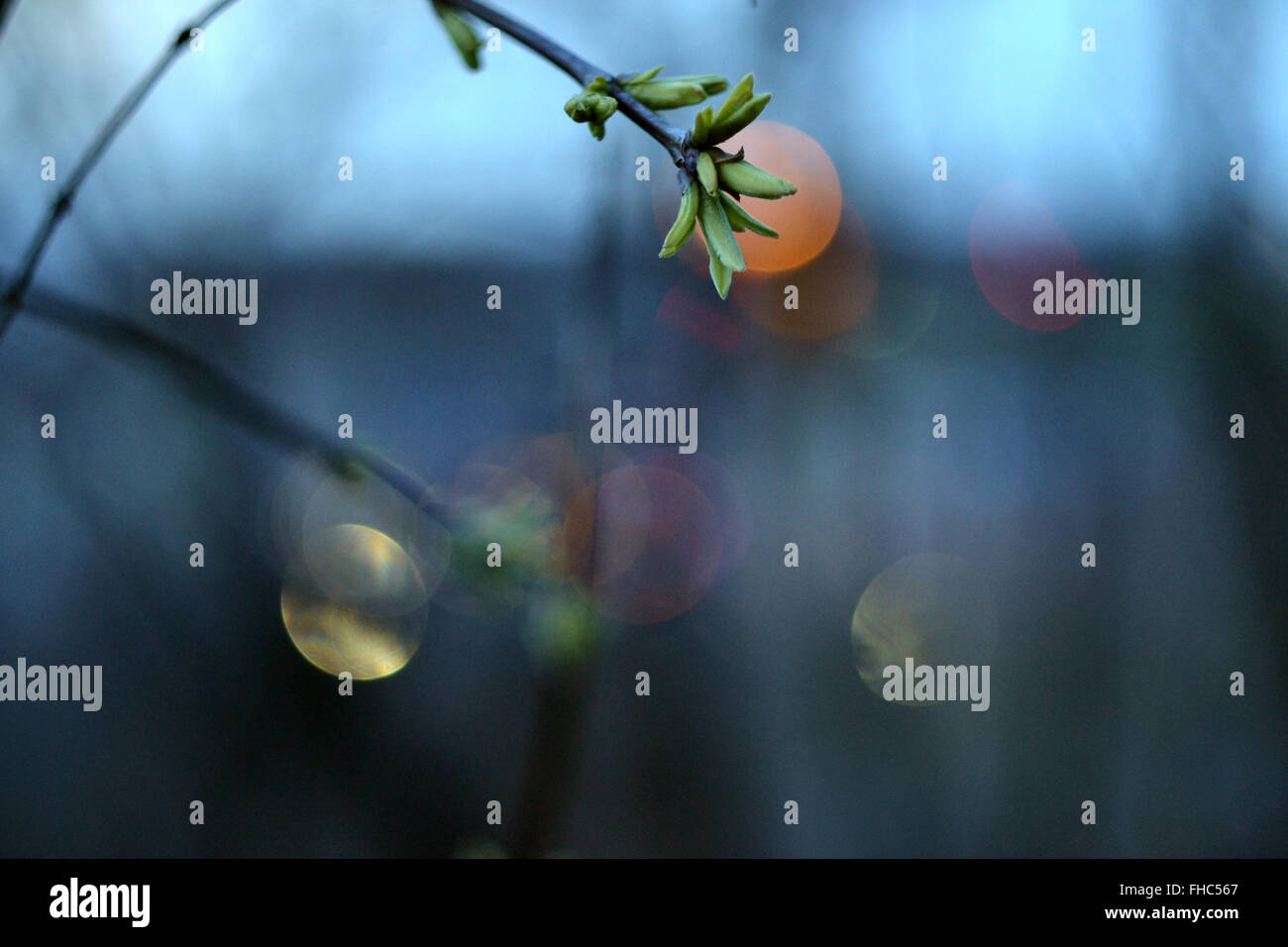 Spring background hi-res stock photography and images - Alamy