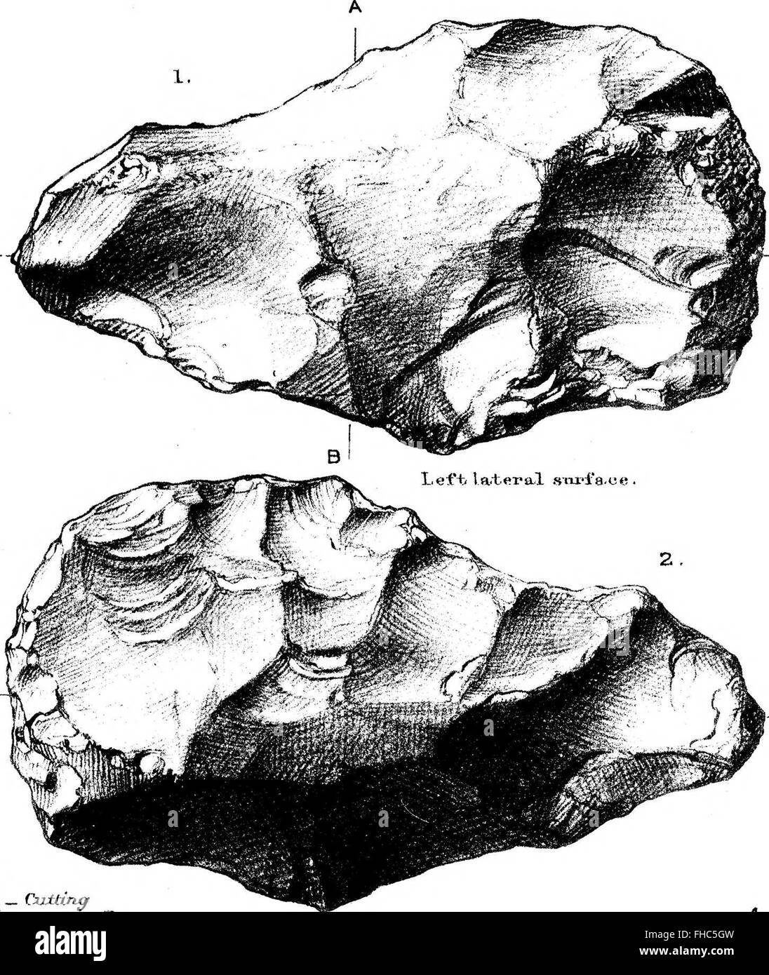 The Transition from Rostro-Carinate Flint Implements to the Tongue ...