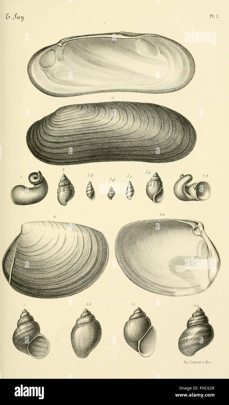 Bibliothèque conchyliologique, Catalogs and collections, Harvard ...