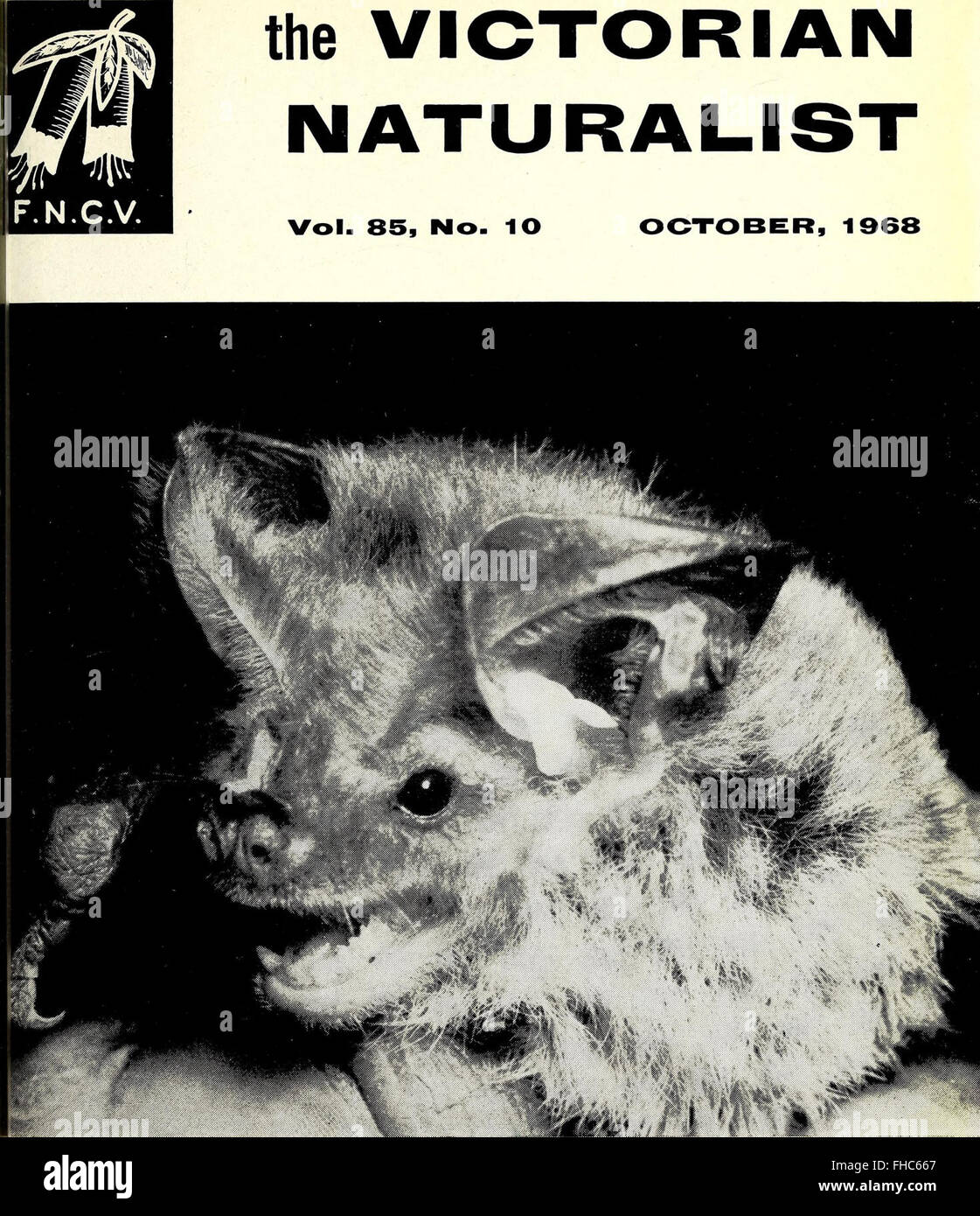 A 1968 edition of 'The Victorian Naturalist,' documenting observations ...