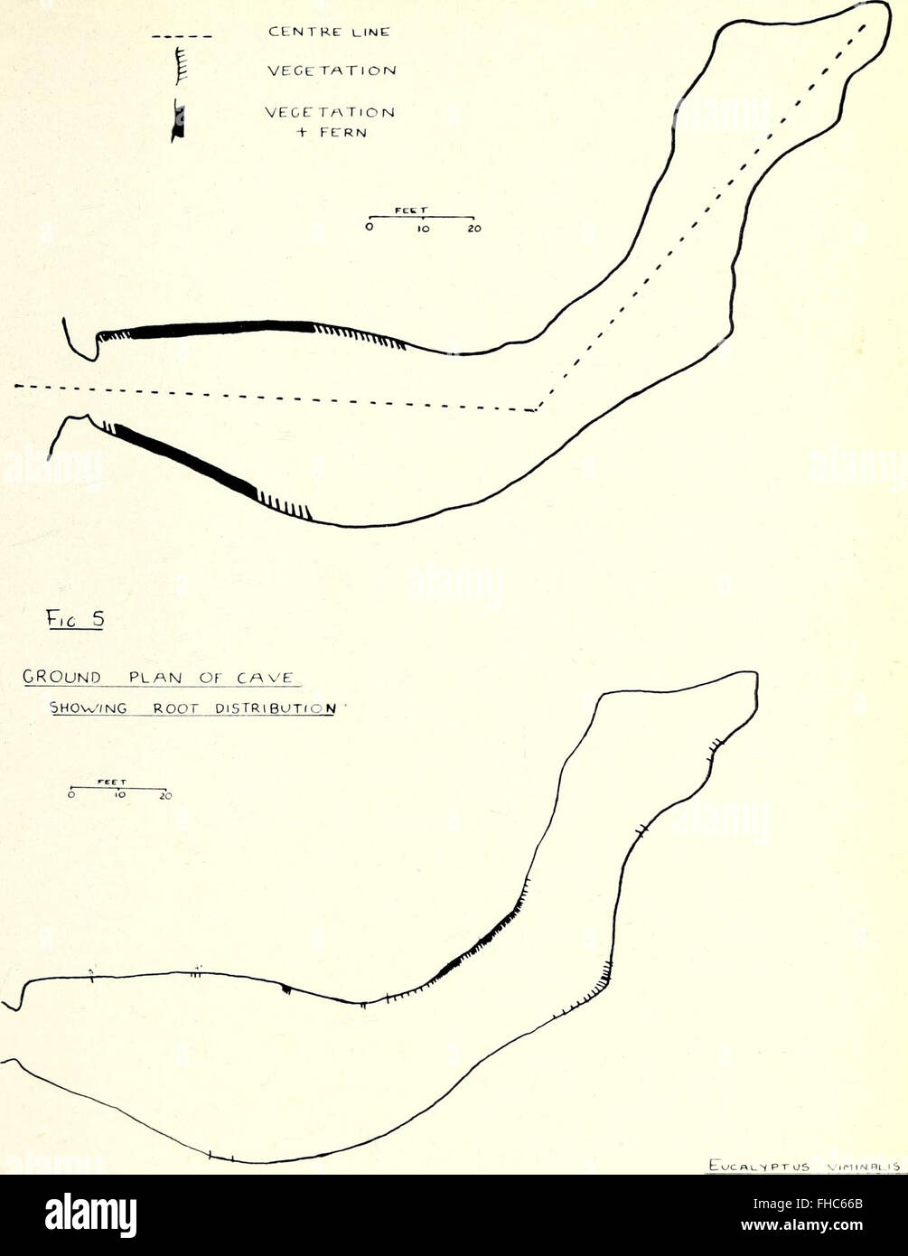 The Victorian Naturalist, a journal focusing on the study of nature and ...