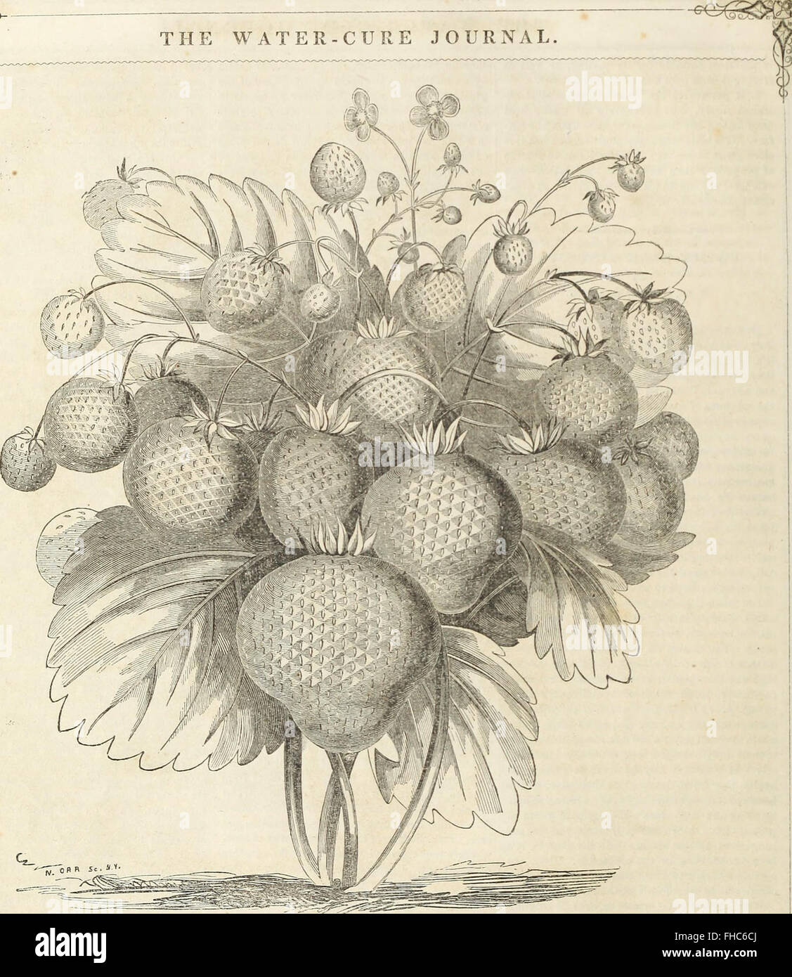 The Water-cure Journal (1854) focused on promoting hydropathy, a ...