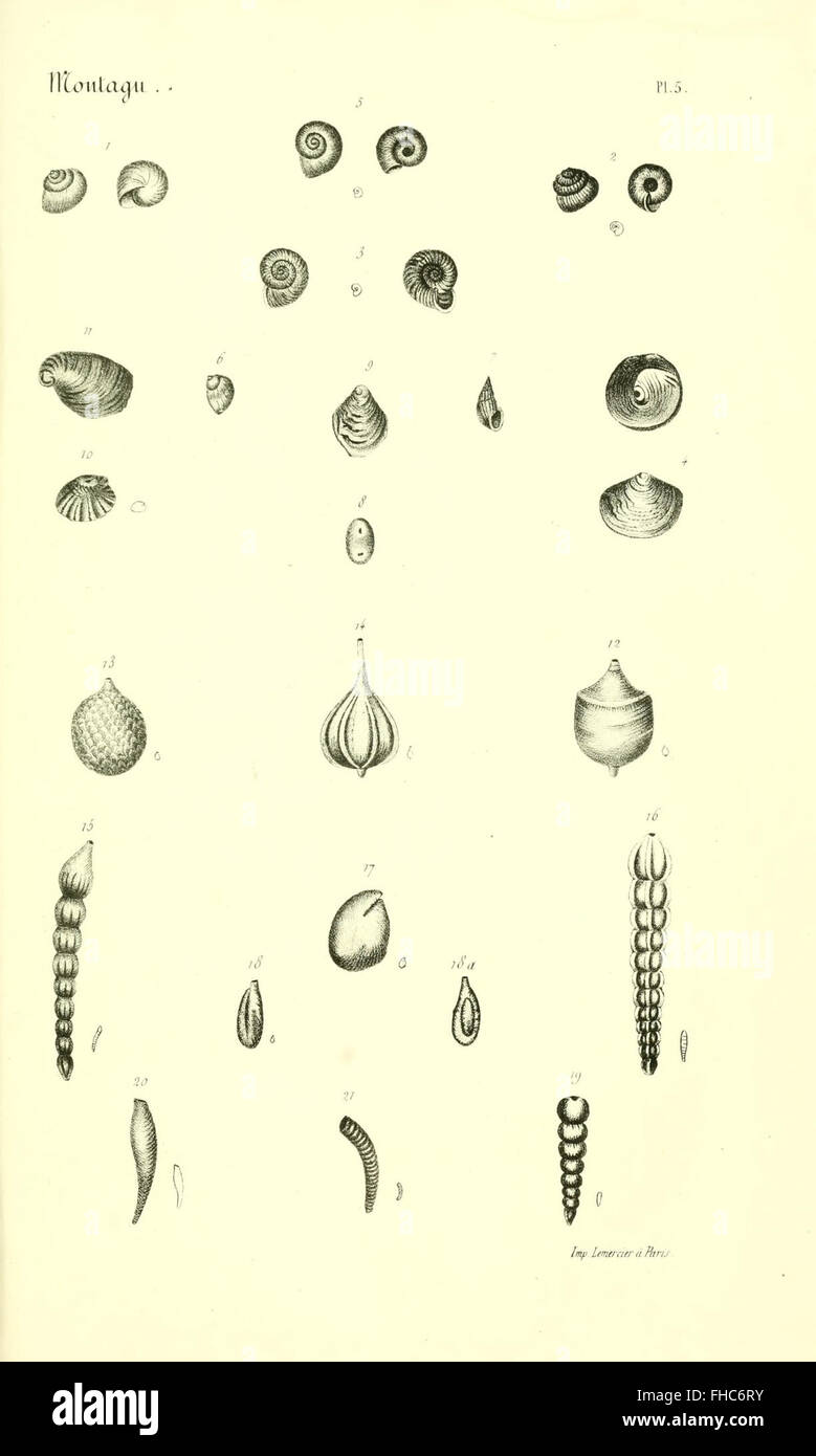 Conchological Library, Catalogs and Collections, Harvard University ...