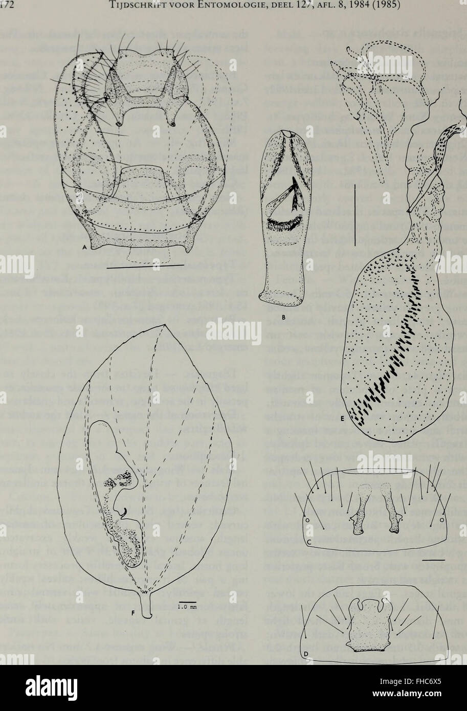A scientific journal dedicated to entomological studies, focusing on ...