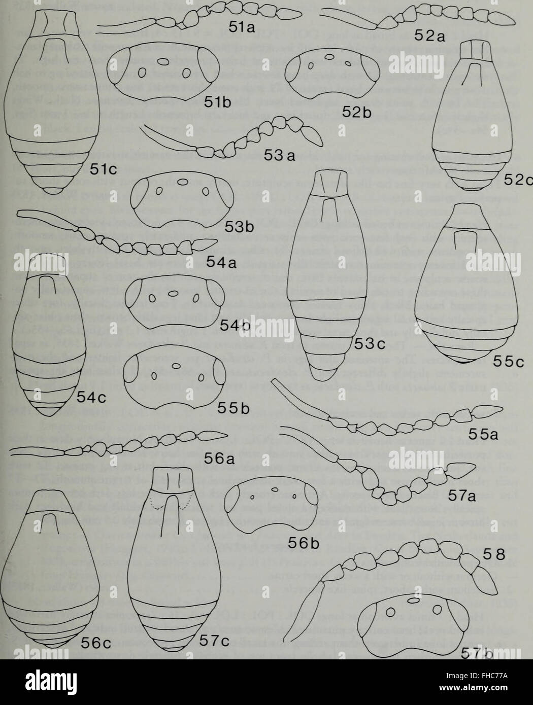 A scientific journal dedicated to the study of entomology, featuring ...