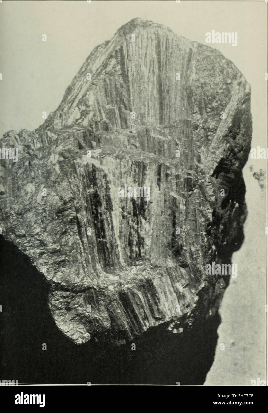 The Transactions of 1871 documents key scientific studies and ...