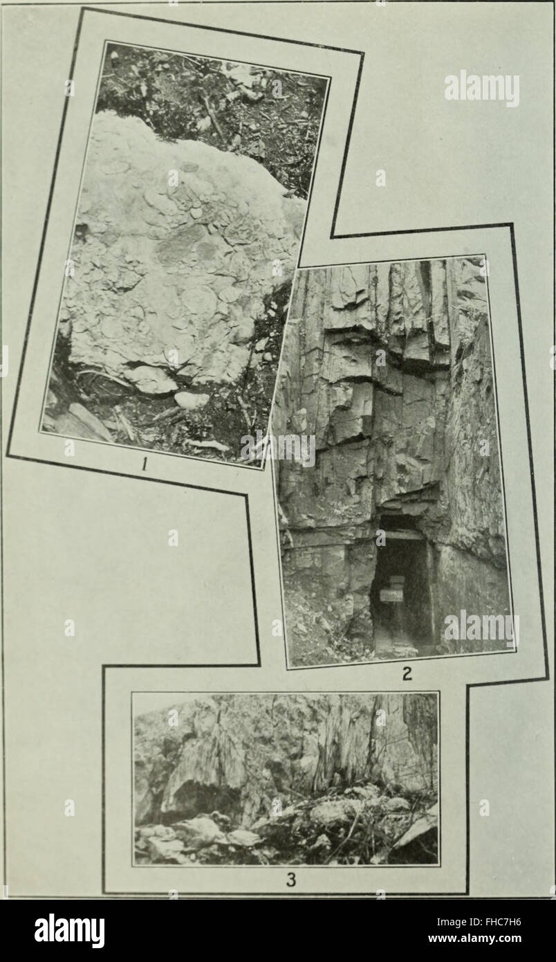 A scholarly journal documenting scientific studies, discoveries, and ...