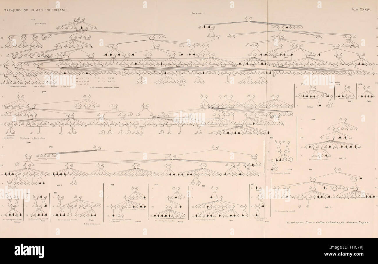 A collection of works exploring the inheritance of human traits ...