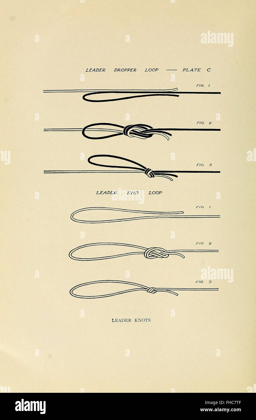 Trout Fly-Fishing in America, a classic guide on fly-casting techniques ...