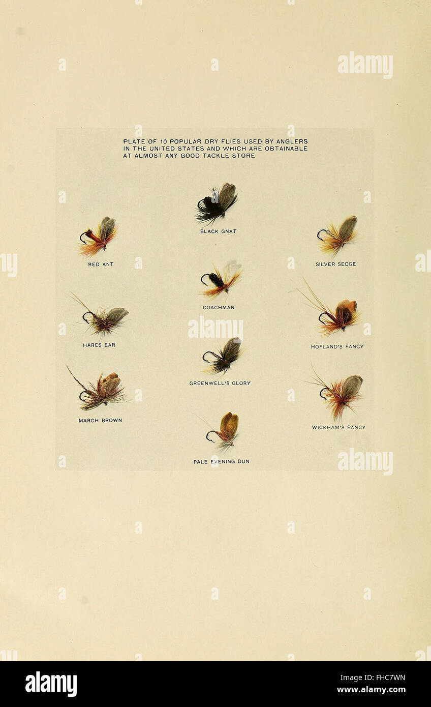 Trout fly-fishing in America, focusing on techniques and the culture of ...