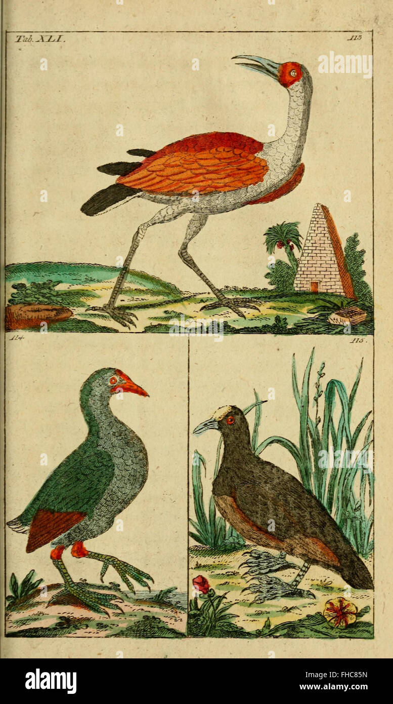 A collection of early works from the 18th century on natural history ...