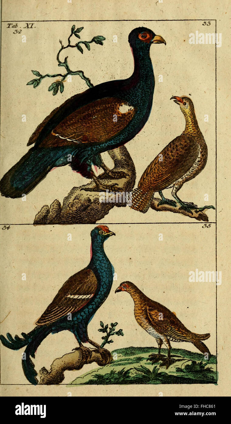 An early natural history work discussing the diverse aspects of nature ...