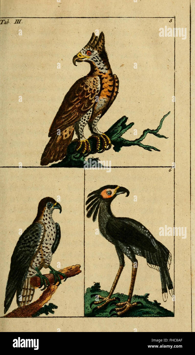 An early work in natural history, offering insightful conversations ...